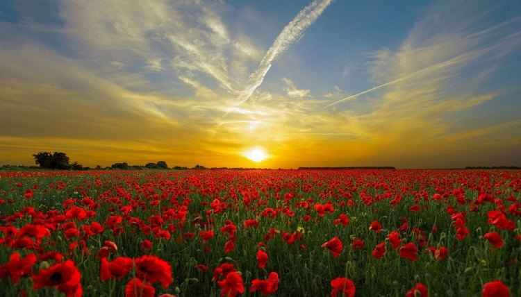 Qual a verdadeira cor do Sol? - Atualidades