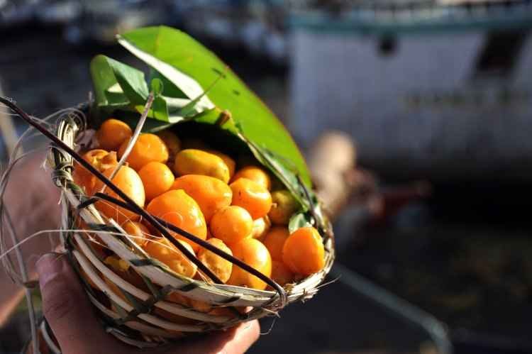Que tal provar a acidez e a doçura do taperebá? - Gastrô