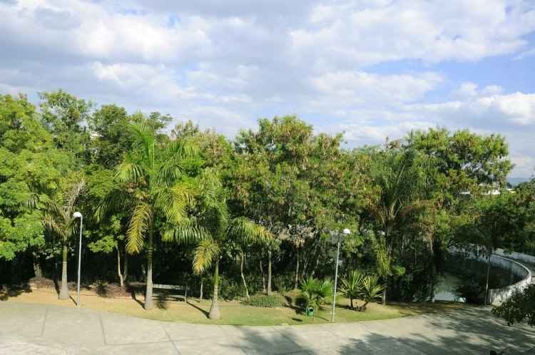 Conheça as belezas do jovem parque Primeiro de Maio - Atualidades