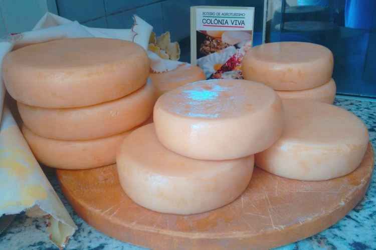 Saiba a origem do famoso queijo minas artesanal - Gastrô