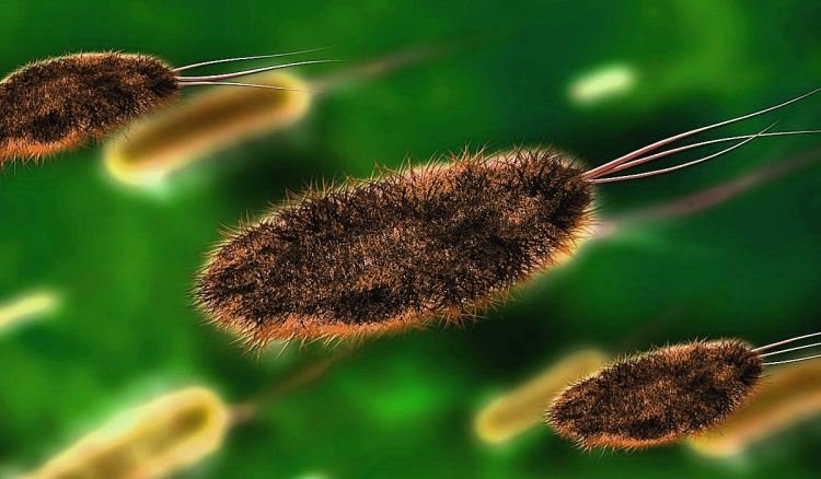 Como surgem as superbactérias? - Saúde