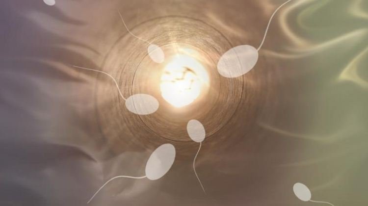 Entenda a diferença entre infertilidade e esterilidade - Saúde