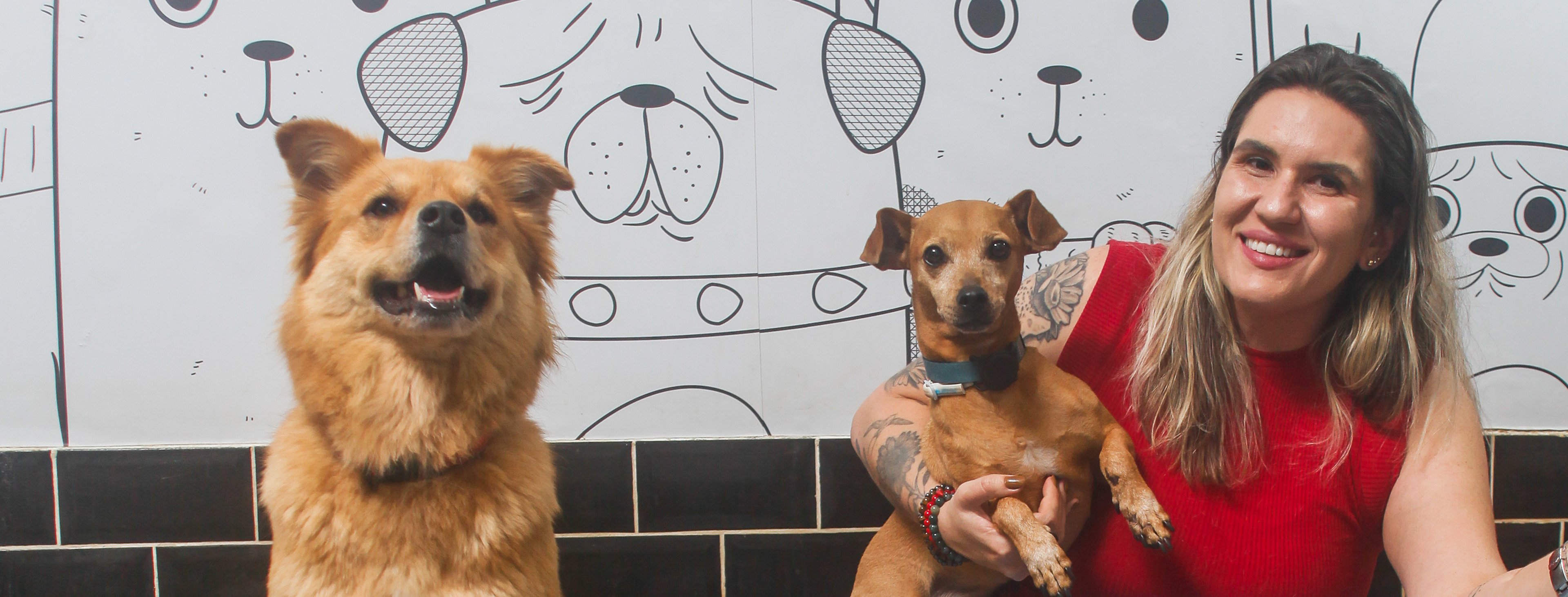 Caramelo: o vira-lata que virou símbolo nacional e maior sucesso da ...